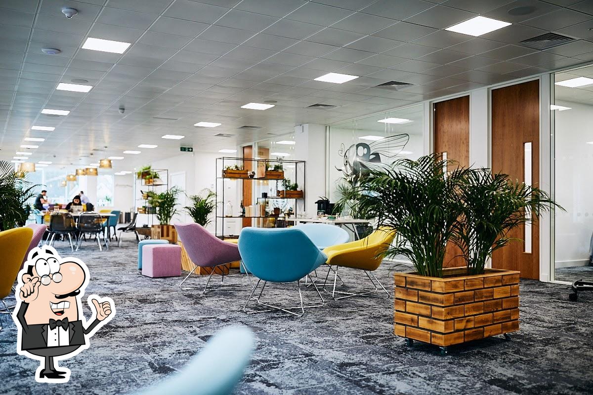 The Curious Lounge in Reading