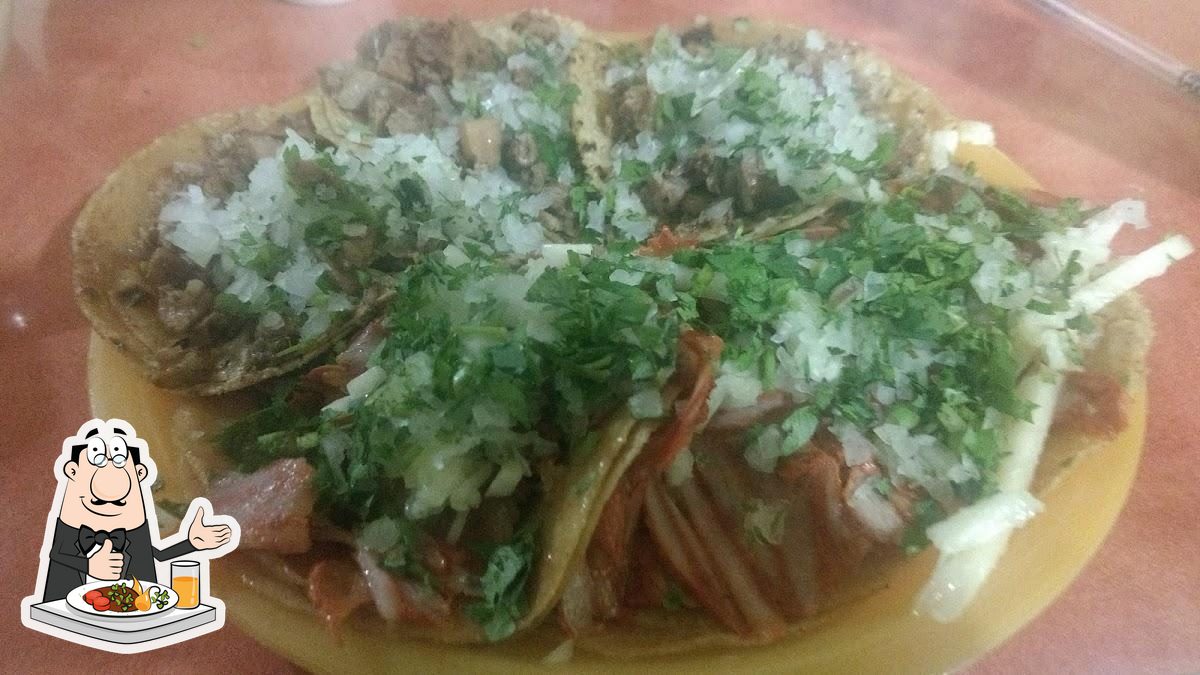 Star Tacos restaurant, Mexico City - Restaurant reviews