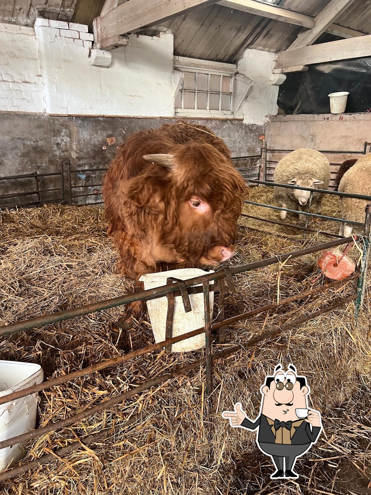 Lizzie’s Farm, Bromsgrove - Restaurant menu, prices and reviews