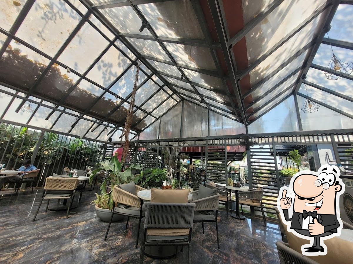 The Tree Stories Café and Restaurant, Hyderabad - Restaurant reviews