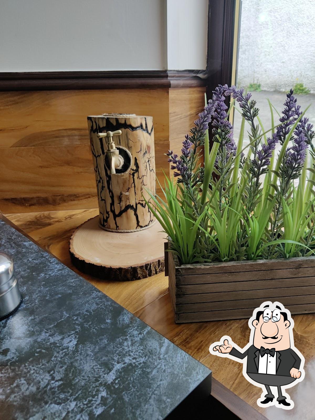 Olive Tree Banchory, Banchory - Restaurant menu, prices and reviews