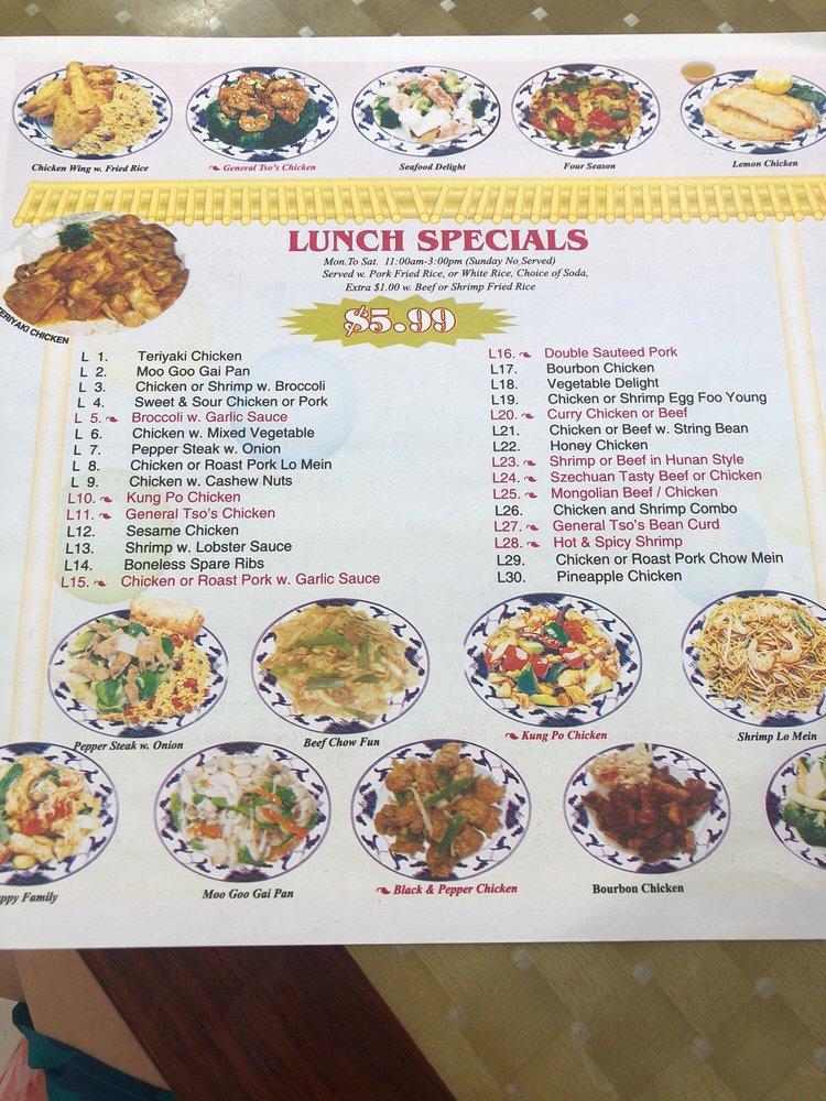 Menu at China Wok restaurant, Tampa, E County Line Rd