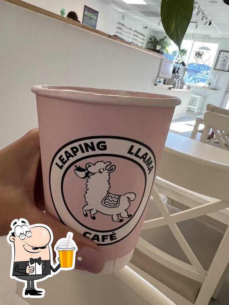 Leaping Llama Café, LLC, Saint Pete Beach - Restaurant menu, prices and ...