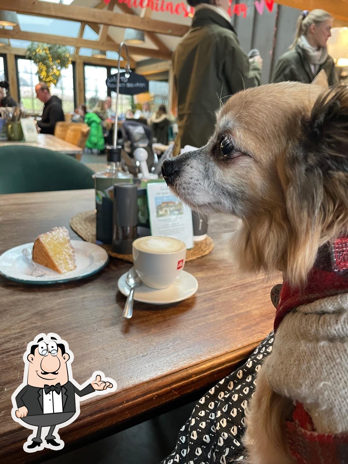 Thornham Deli, Thornham - Restaurant menu, prices and reviews