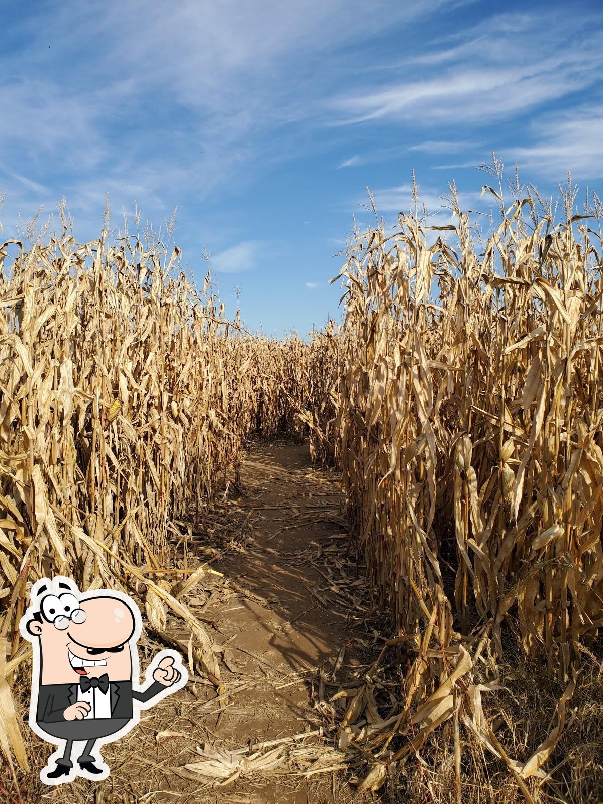 Hanes Corn Maze in Hamilton - Restaurant reviews