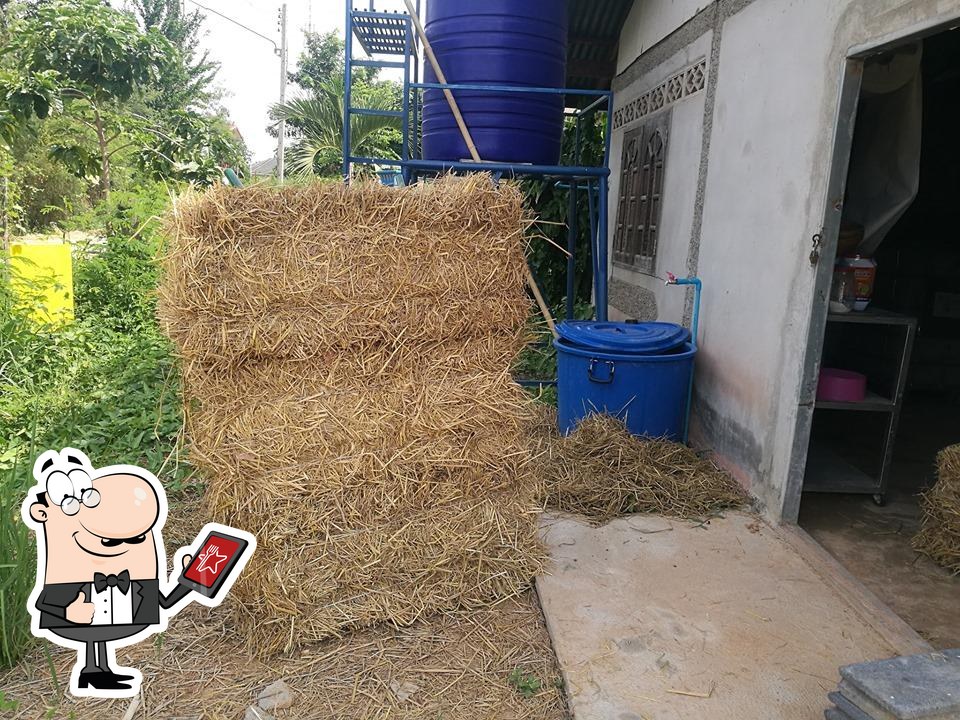 Sunday Farm Wang Sam Mo City, Wang Sam Mo - Restaurant reviews