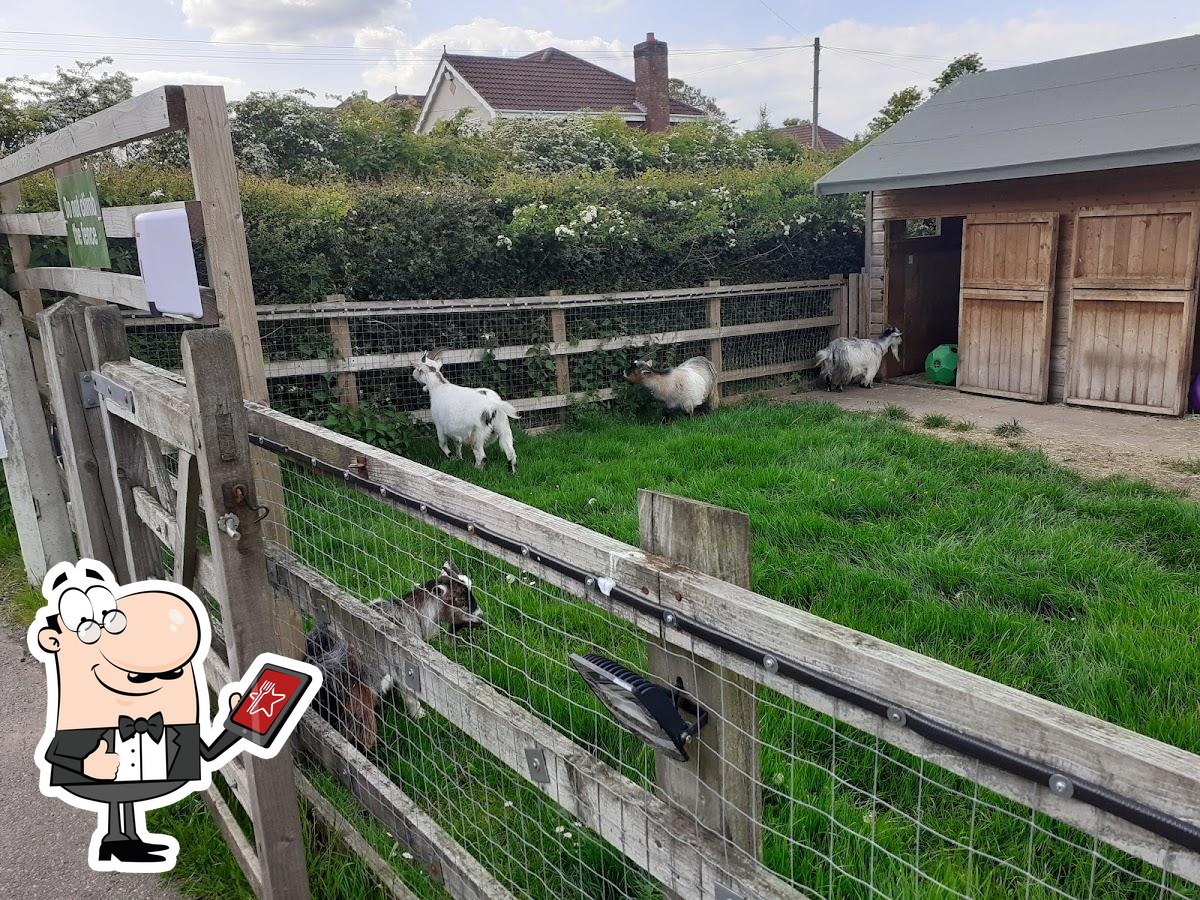 Chase Farm Cafe in Sutton Coldfield - Restaurant menu and reviews