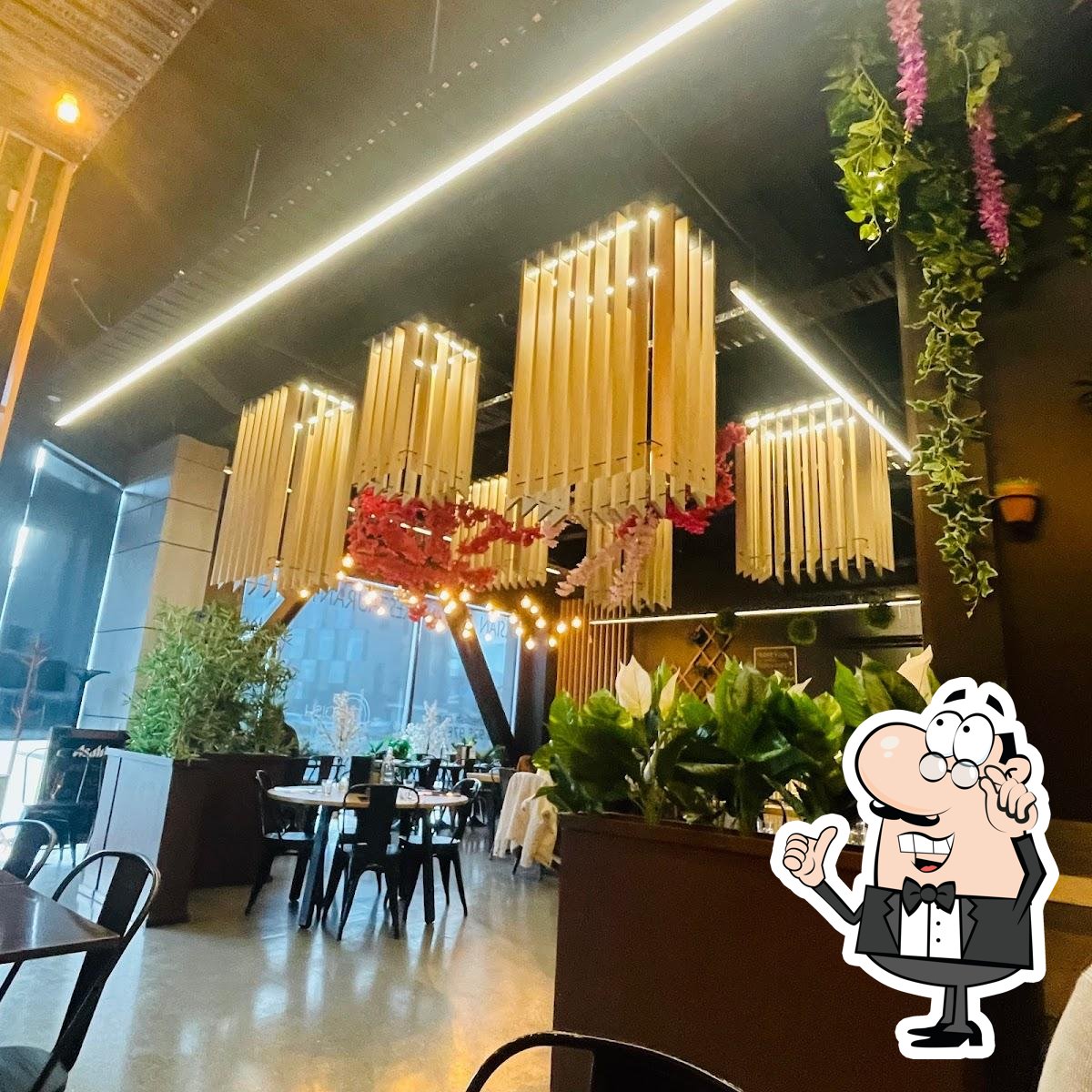The Dish, Christchurch - Restaurant menu, prices and reviews