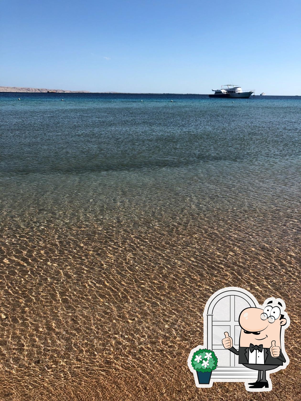 Papas Bar, Hurghada, Mamsha road - Restaurant reviews