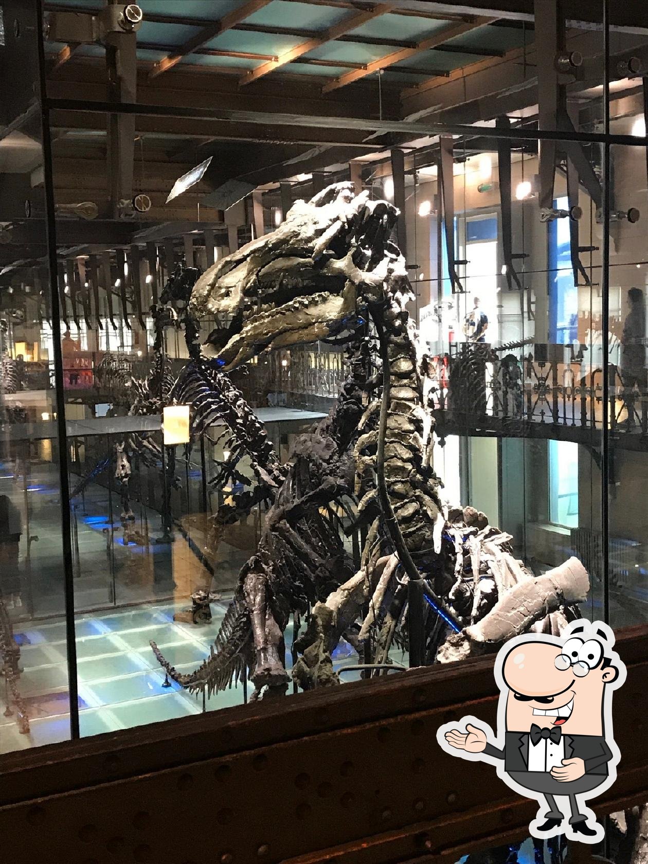 Dino Café, Brussels - Restaurant reviews