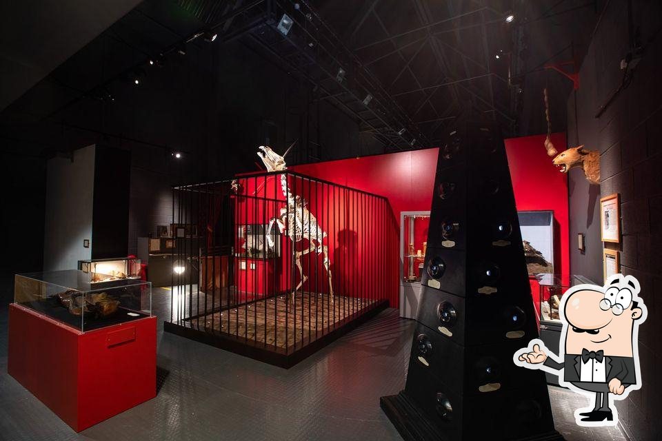 The Viktor Wynd Museum of Curiosities, Fine Art & UnNatural History in ...