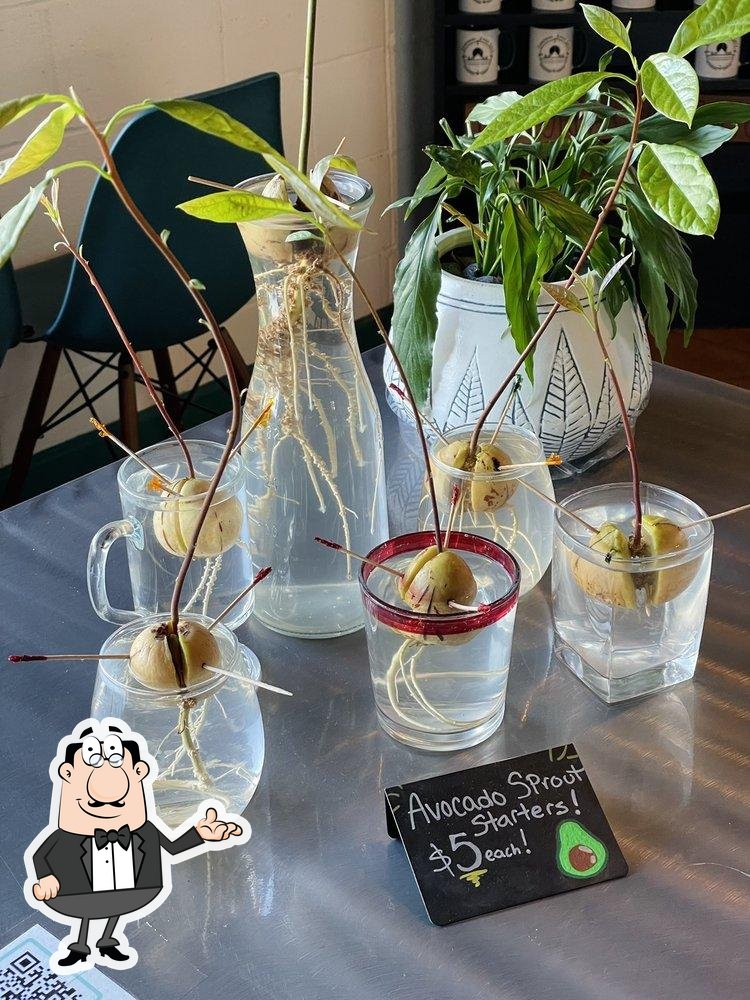 Compass Rose Cafe, Brookings - Restaurant menu, prices and reviews