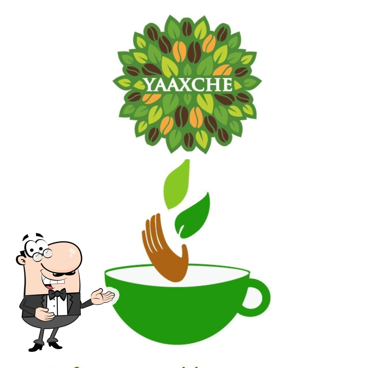 Yaaxche, Galería del Café, Cancún - Opiniones del restaurante
