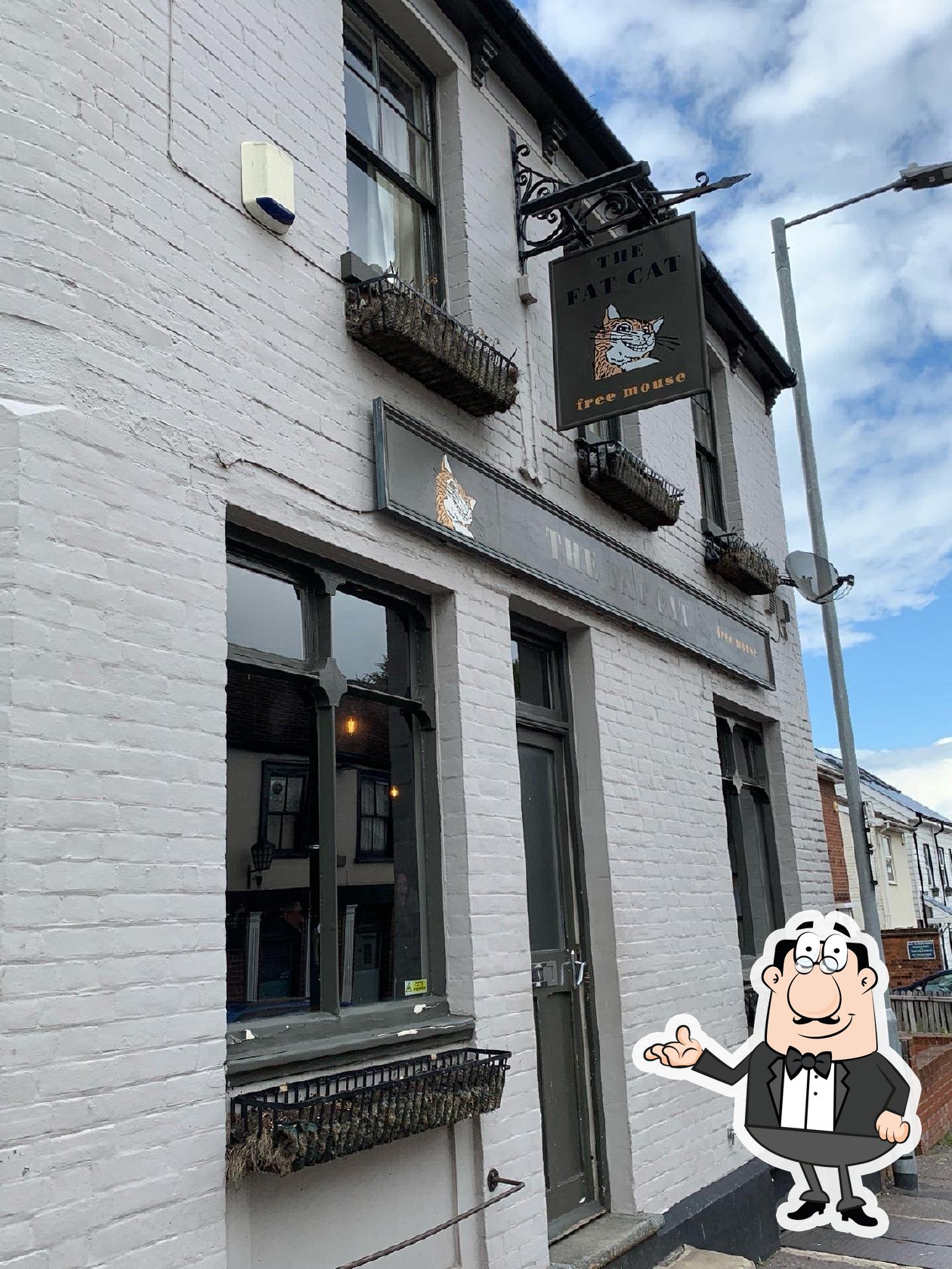 Fat Cat in Colchester - Restaurant reviews
