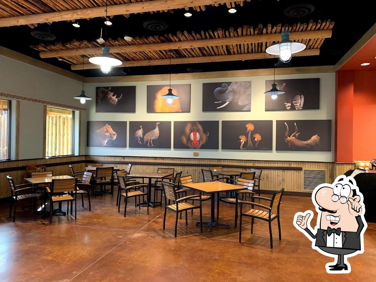 Chakula Cafe in Tyler - Restaurant reviews