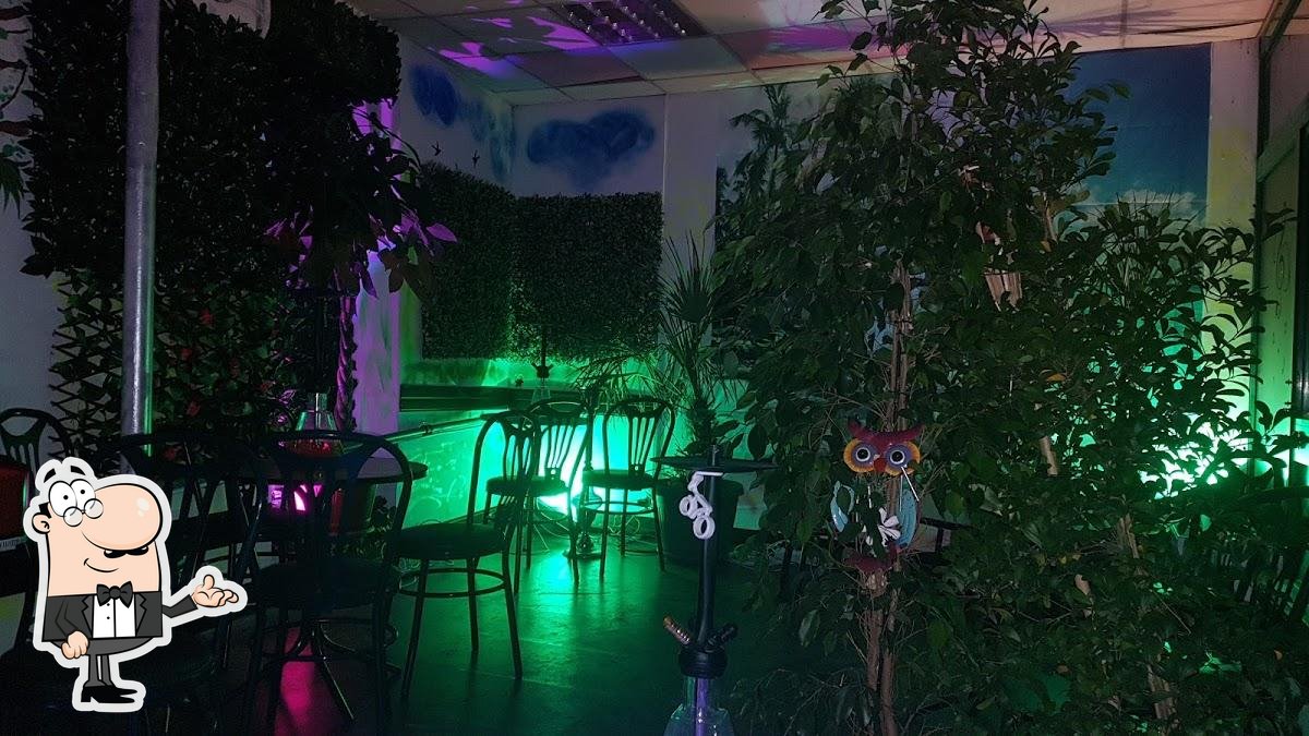 Taboo Club & Cafe, Pitești - Restaurant reviews