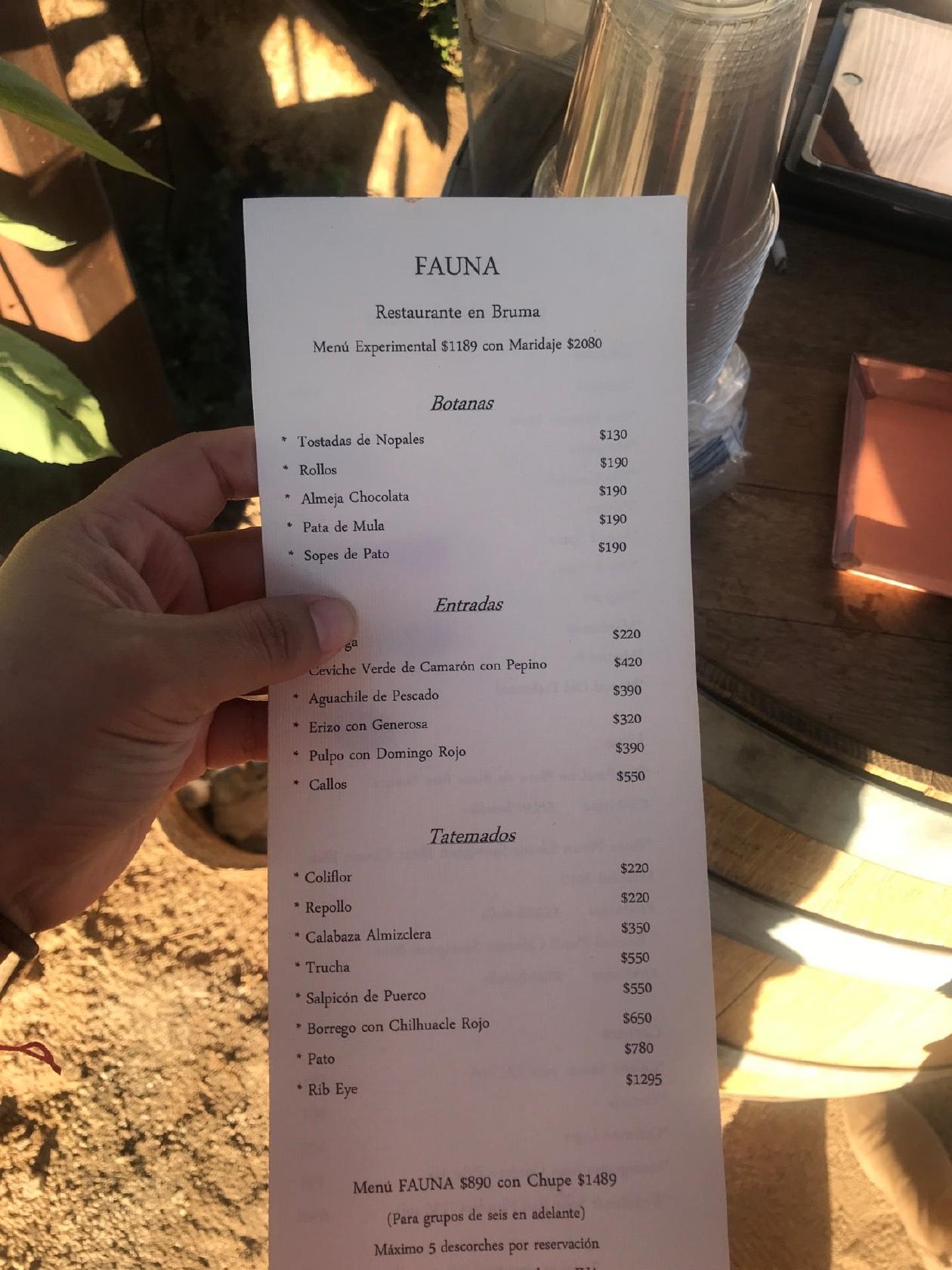 Menu at Fauna restaurant, Mexico