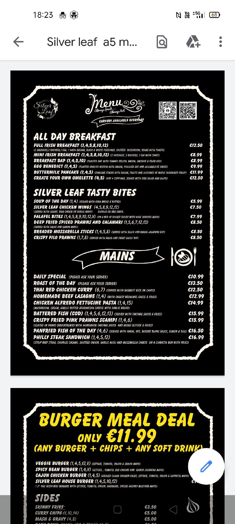 Menu at Silver Leaf restaurant, Dublin