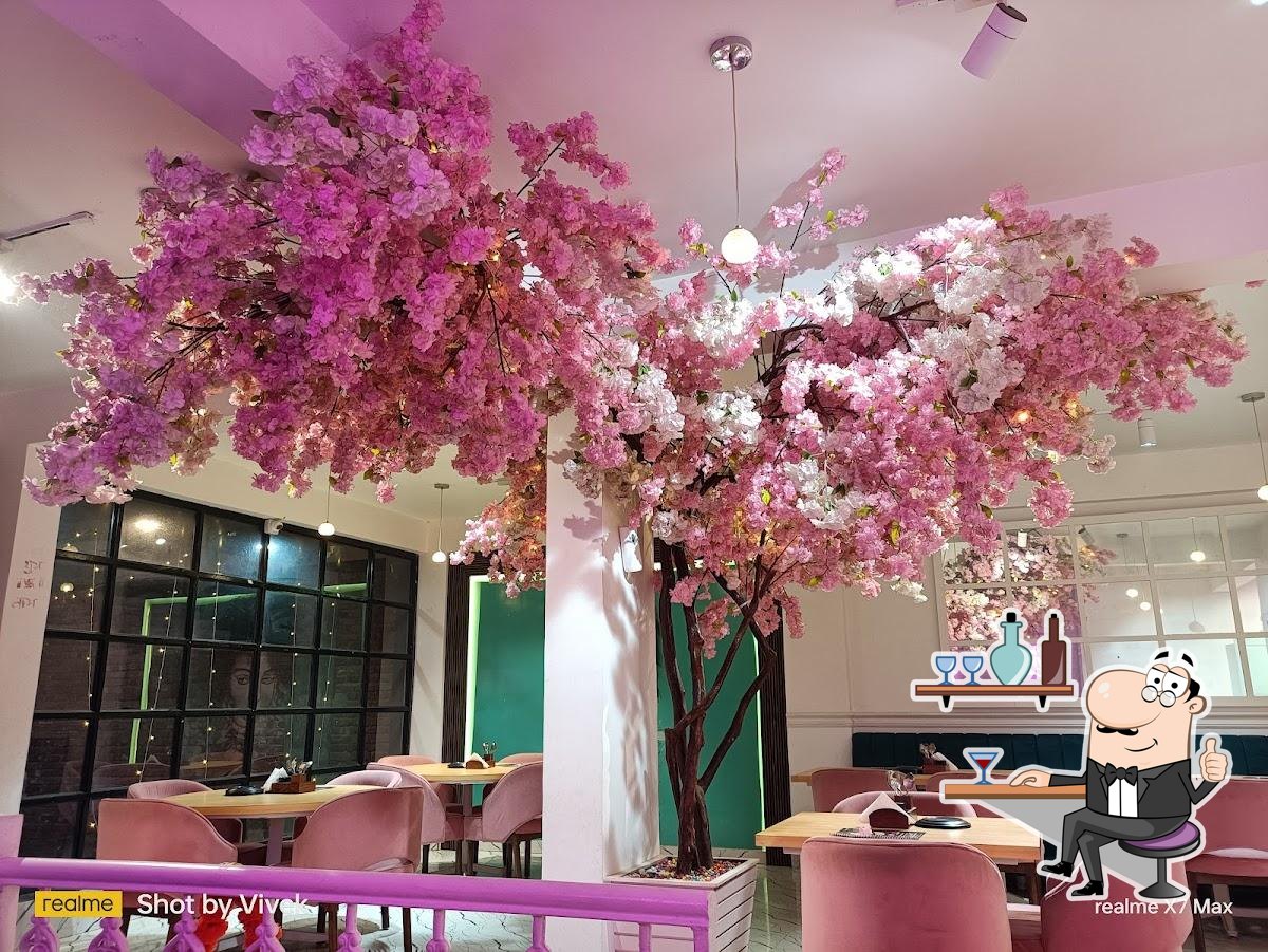 THE PINK TREE, Muzaffarpur - Restaurant menu, prices and reviews