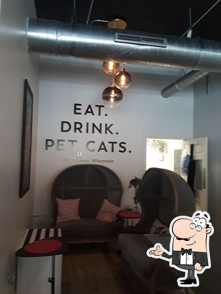 Sip & Purr Cat Café, Milwaukee - Restaurant menu, prices and reviews