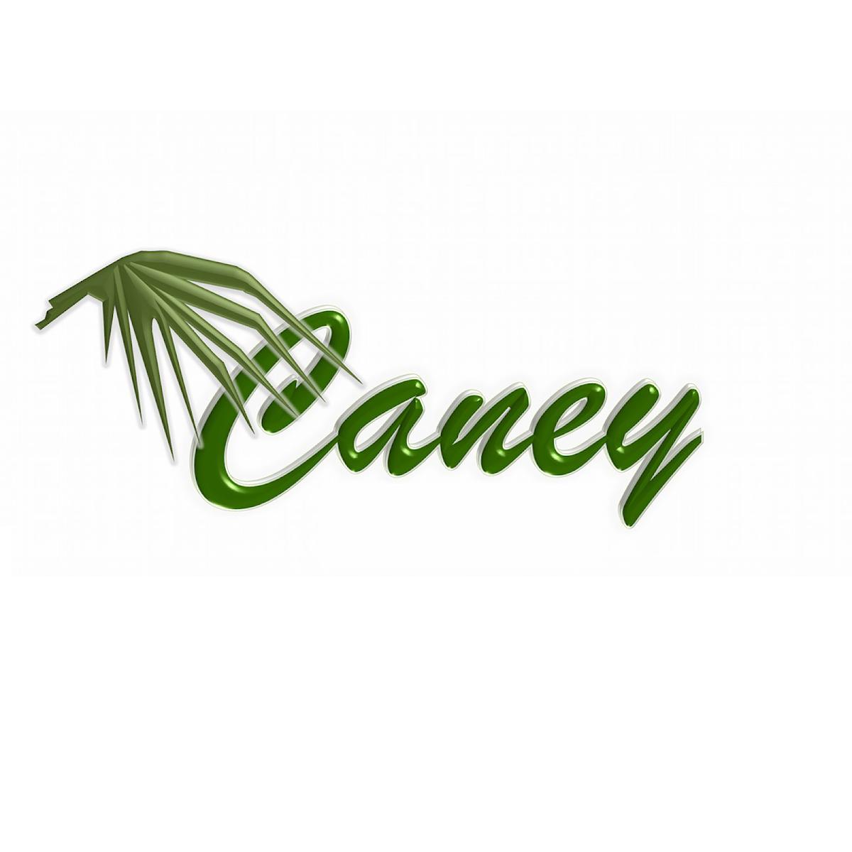 Restaurante CANEY BEACH HOME, Matanzas - Opiniones del restaurante