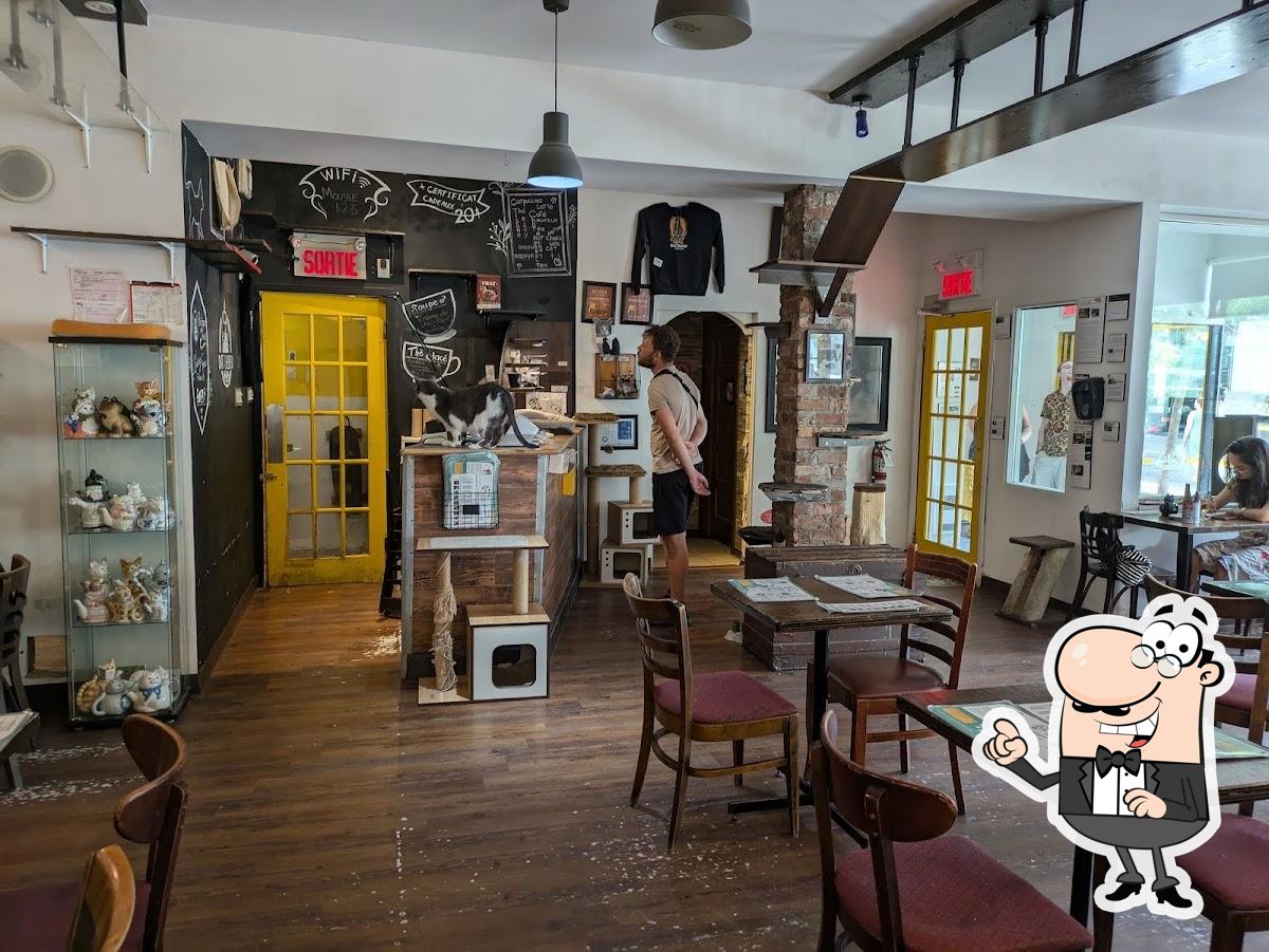Café Chat l'heureux, Montréal - Menu du restaurant, prix et avis