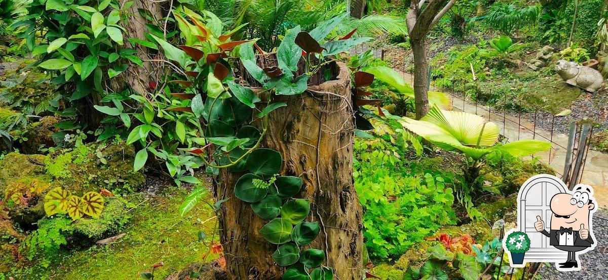 Botanist activity space and more cafe, Bangkok - Restaurant reviews