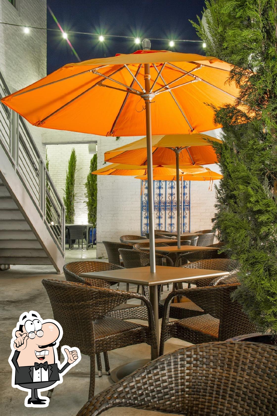 Shaya, New Orleans - Restaurant menu, prices and reviews