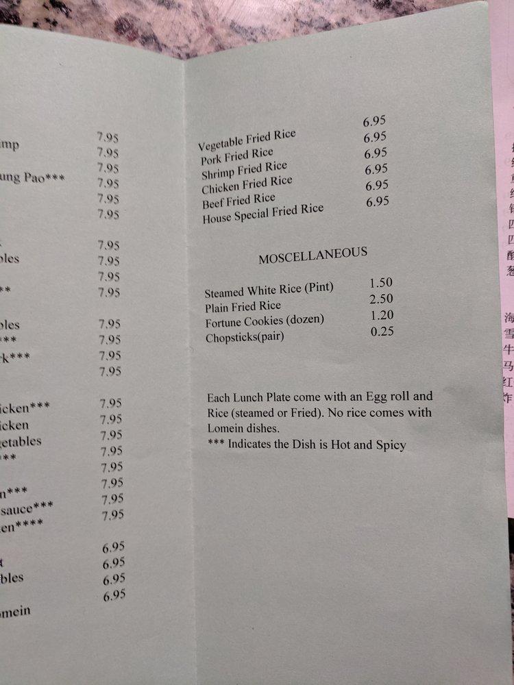 Menu at Great Sichuan 大四川 restaurant, Johns Creek