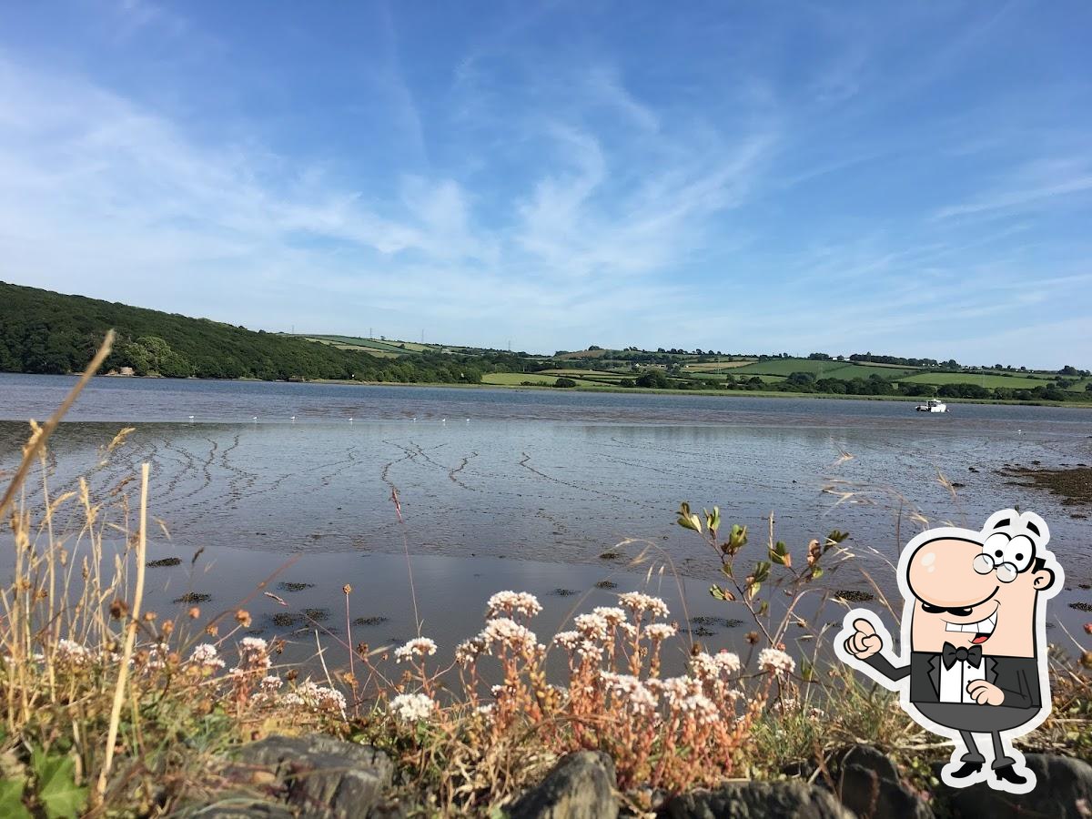 The Olde Plough Inn in Bere Alston - Restaurant menu and reviews