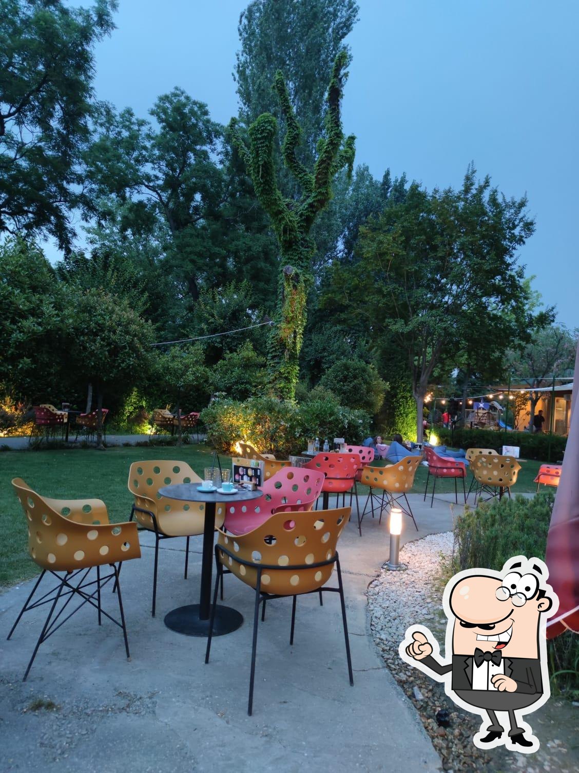 Leaf Cafe, Skopje - Restaurant reviews