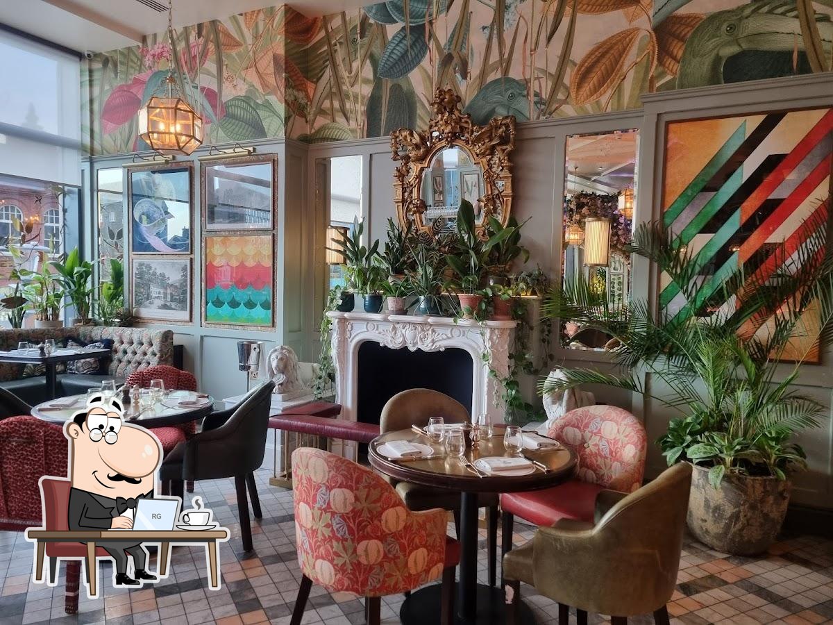 The Ivy Cardiff, Cardiff - Restaurant menu, prices and reviews