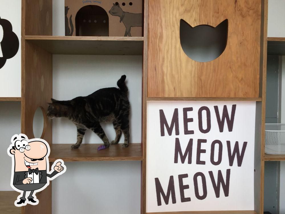 Catfe in Vancouver - Restaurant reviews