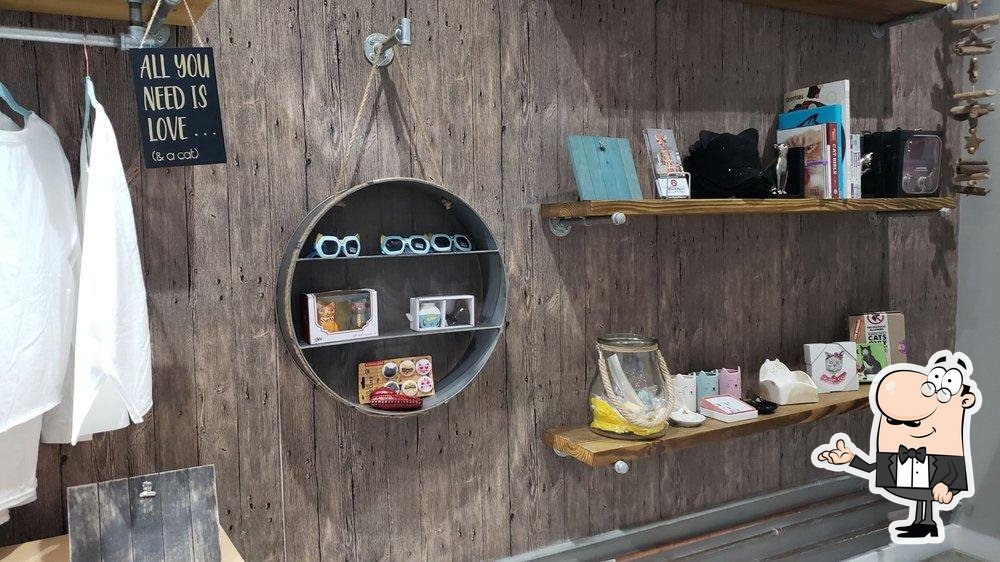 Cat Café South Beach in Miami Beach - Restaurant reviews