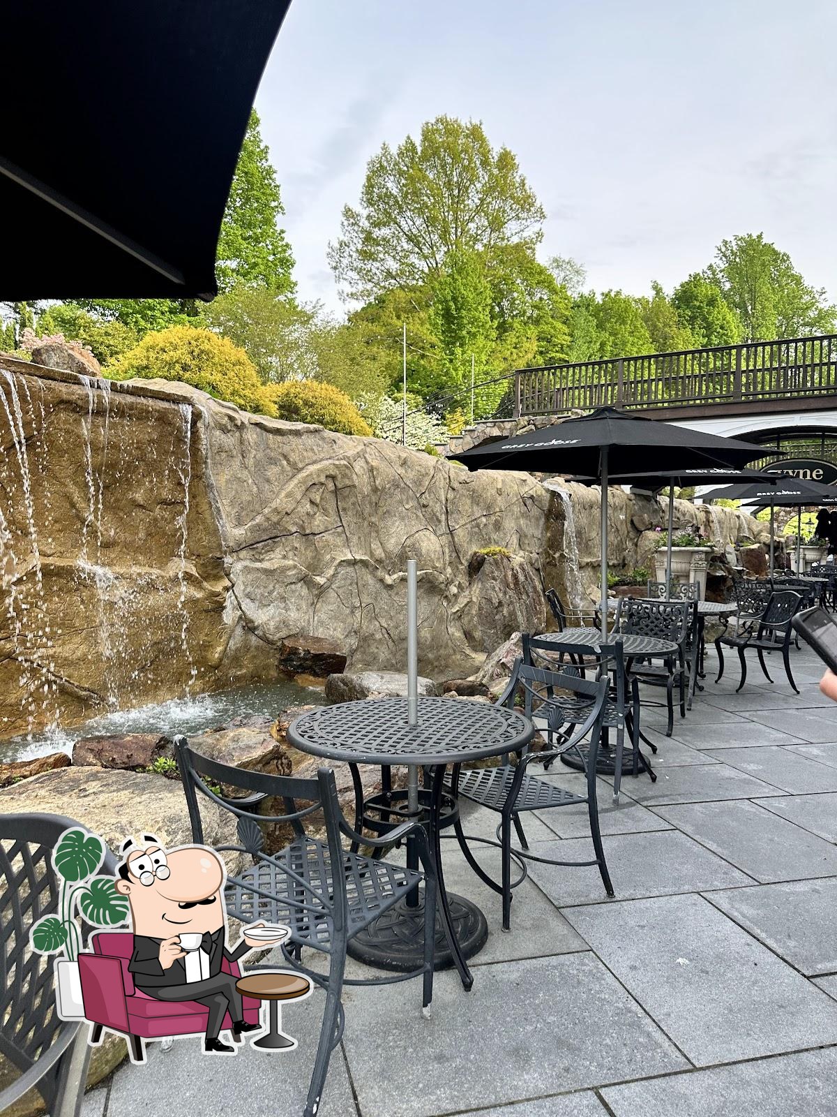 Vyne Restaurant & Bar, Middlebury - Restaurant menu, prices and reviews
