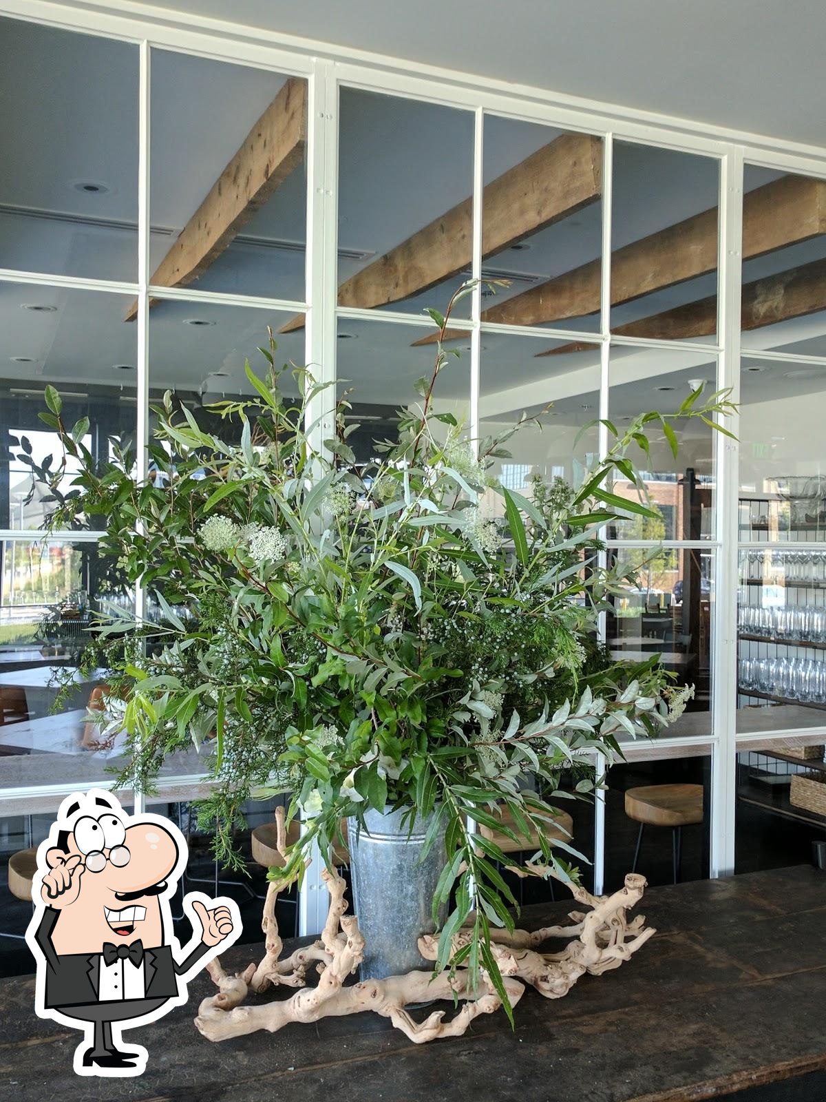 Vicia, St. Louis - Restaurant menu, prices and reviews