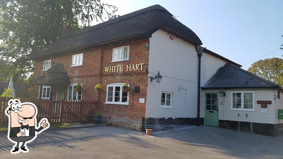 The White Hart in Over Wallop - Restaurant reviews