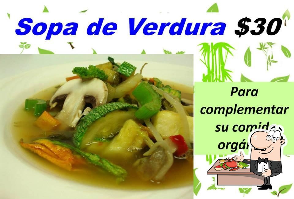 Organic Chef Oficial restaurant, Mexico City - Restaurant reviews