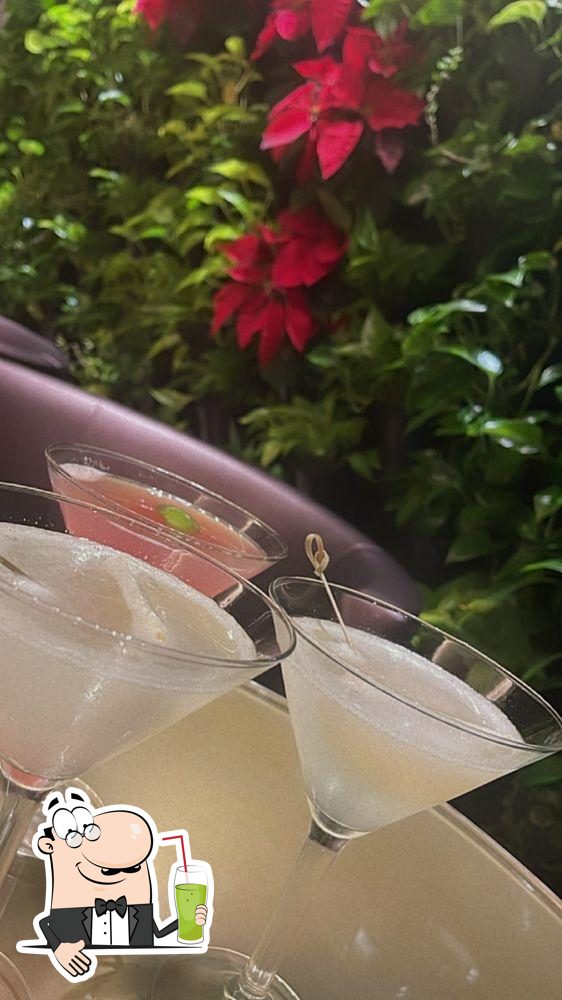 Observatory Eleven Bar in New Orleans - Restaurant menu and reviews