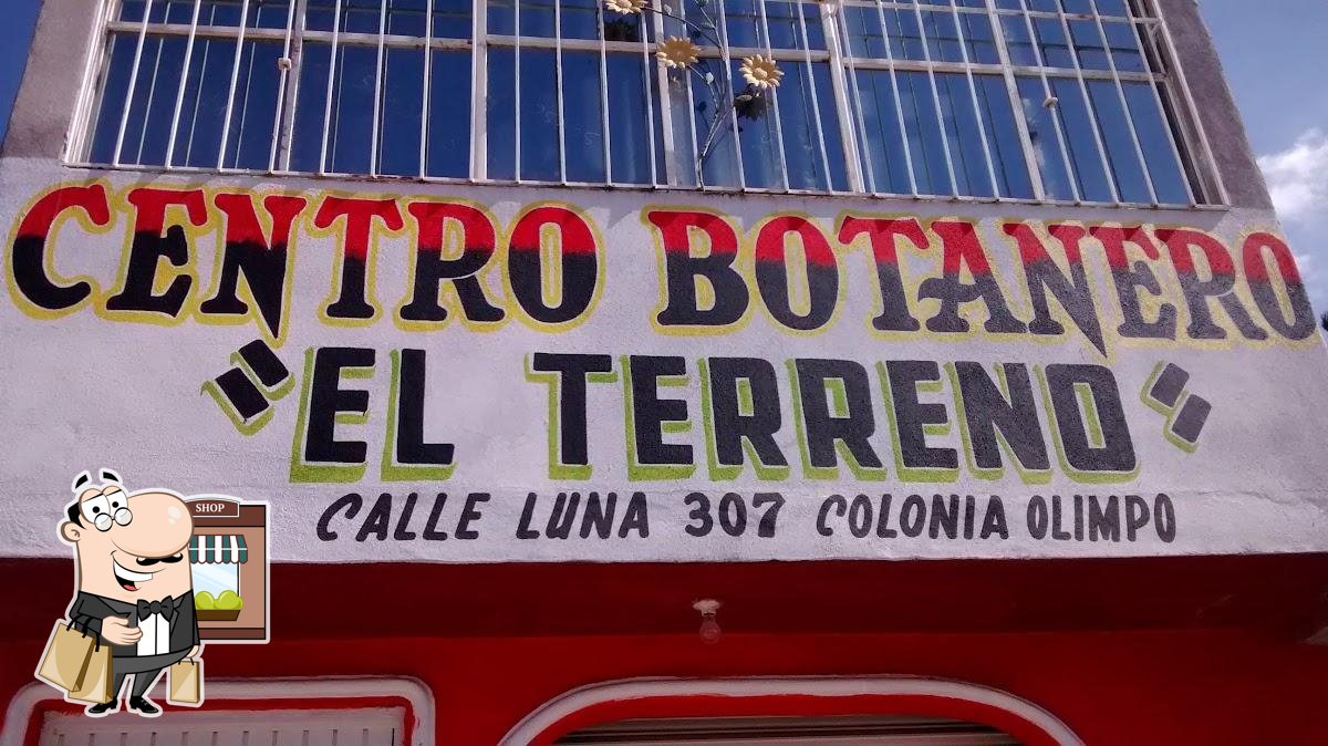 Centro Botanero El Terreno pub & bar, Salamanca, Luna 307