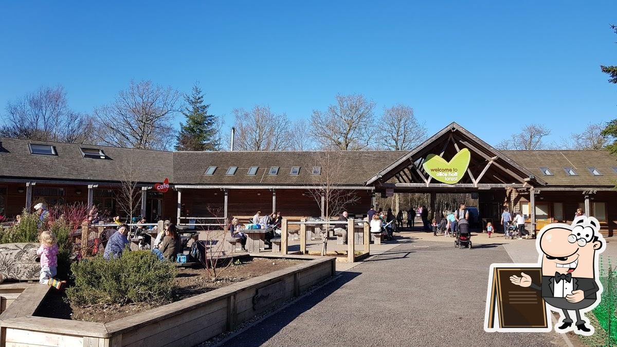 Alice Holt Forest Cafe in Farnham - Restaurant menu and reviews