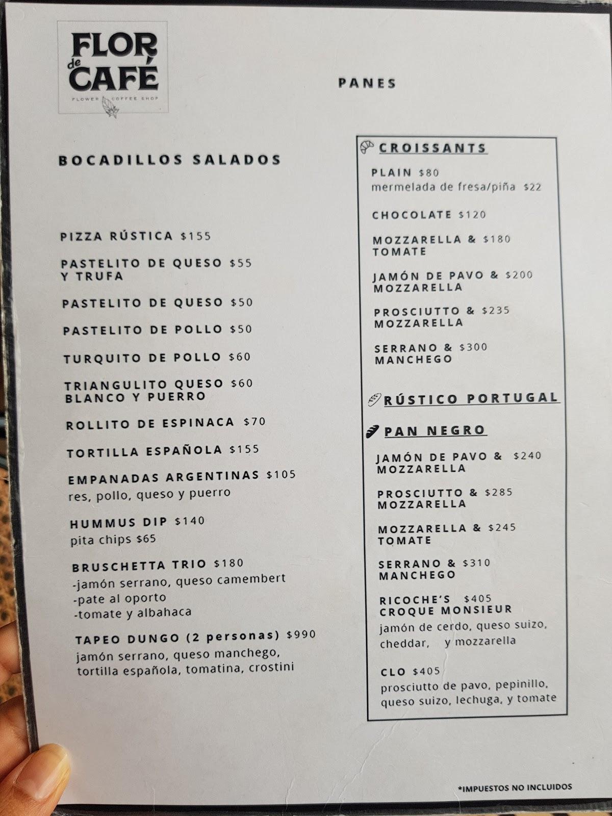 Carta de Flor de Café, Santo Domingo