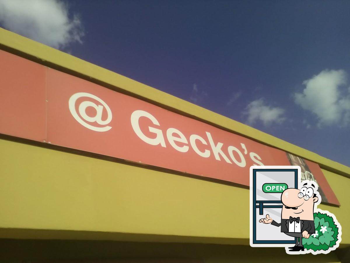 @ Gecko's restaurant, Pretoria