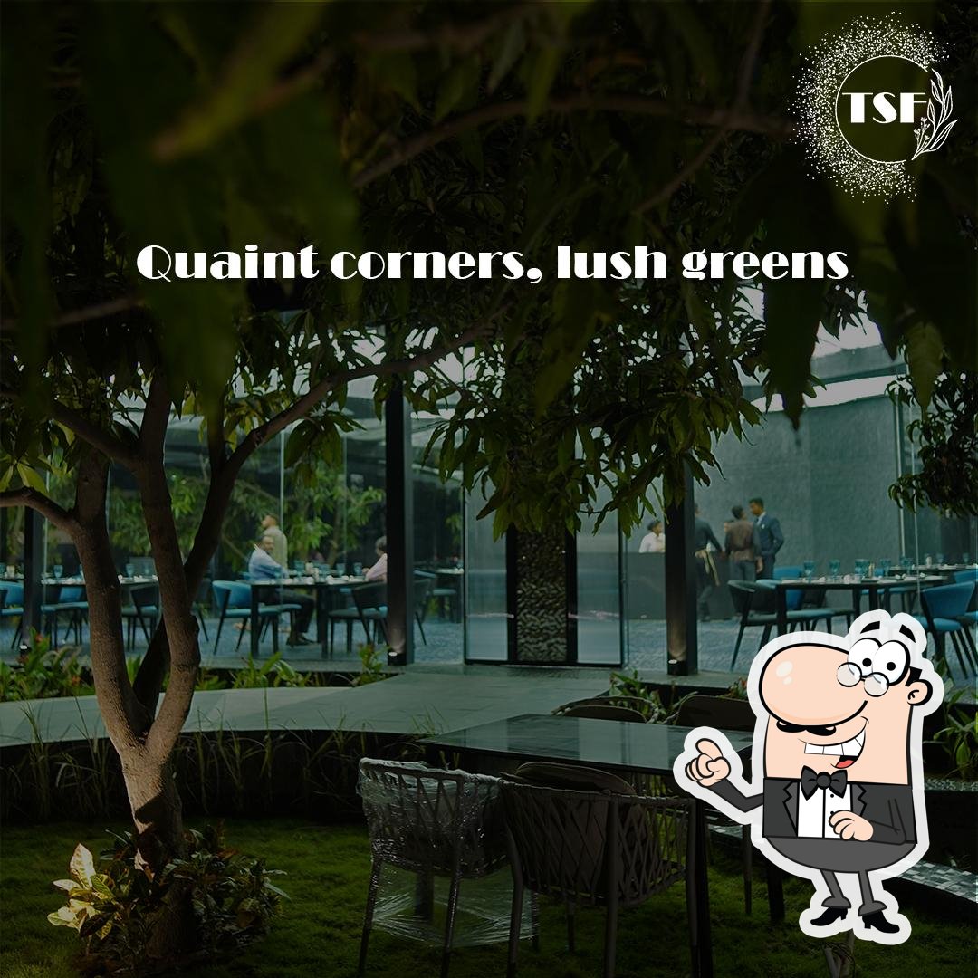 The Starry Foliage, Ahmedabad - Restaurant menu, prices and reviews