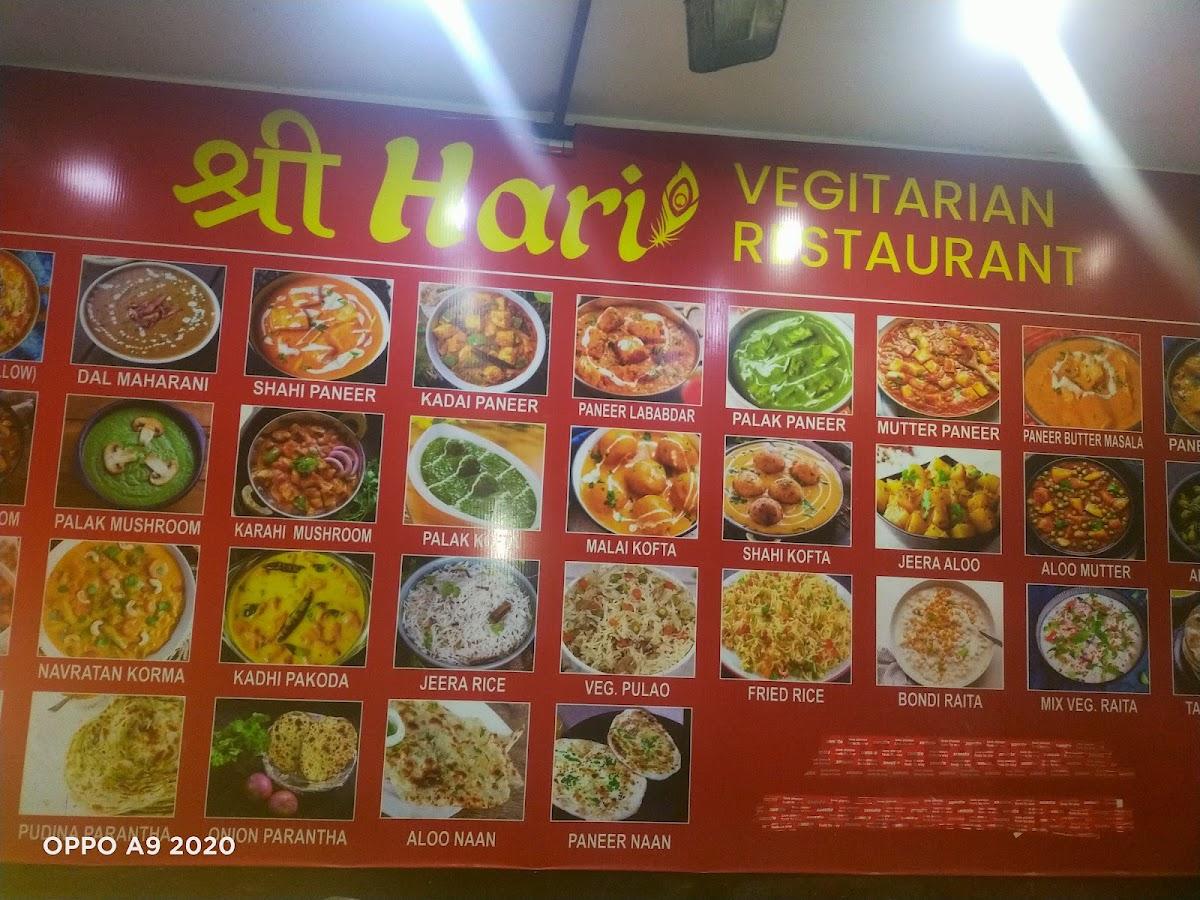 Menu at Shri Hari Vegetarian Restaurant, New Delhi, Shop No-07
