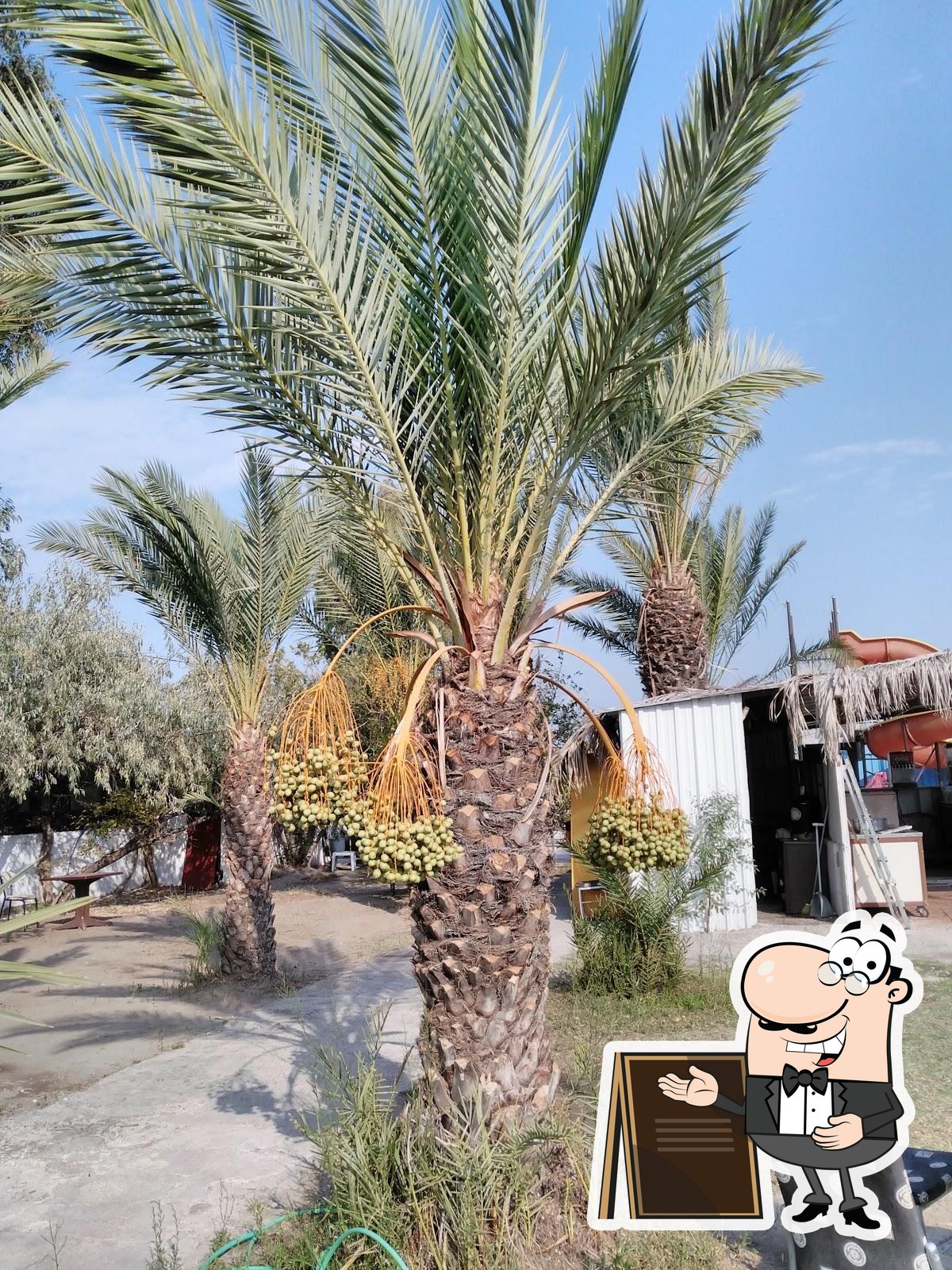 Etap Altinel Restaurant, Turkey - Restaurant reviews