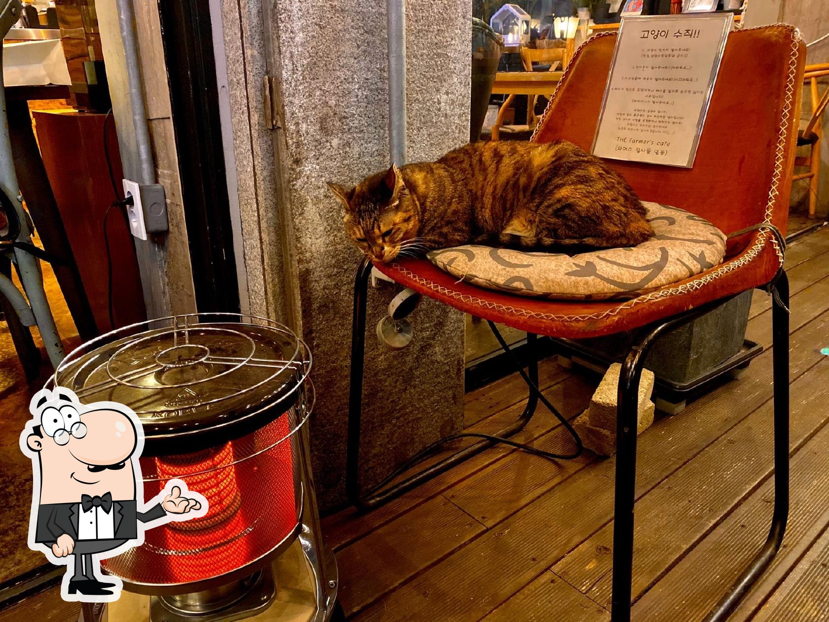 farmer's cafe, Seoul - Restaurant reviews