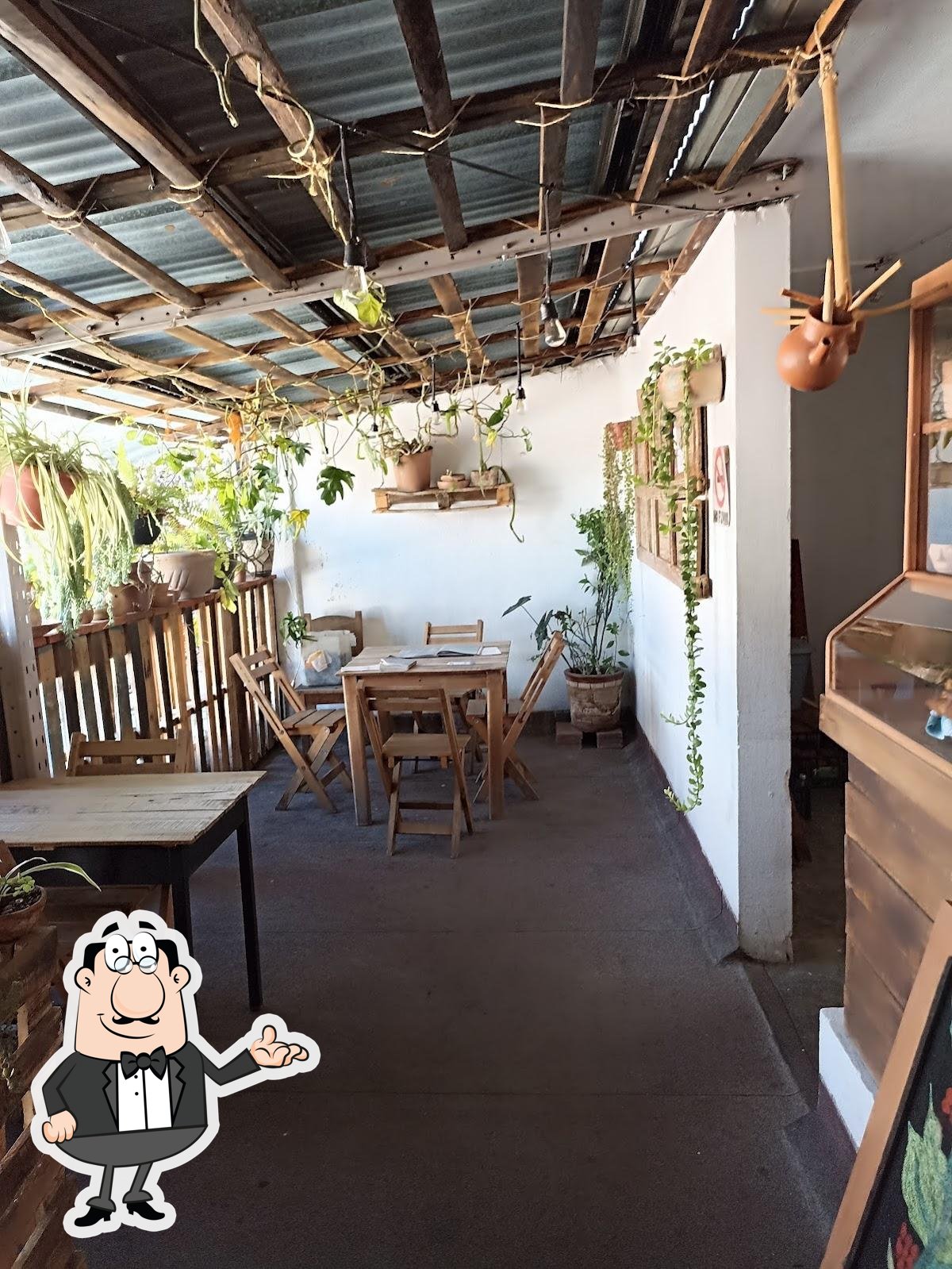 Café Criollo, Oaxaca - Menú del restaurante, precios y reseñas