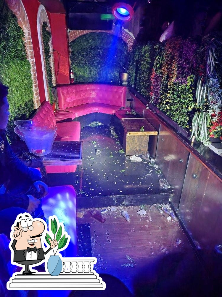 TuCandela Bar, Miami, 901 Brickell Plaza - Opiniones del restaurante