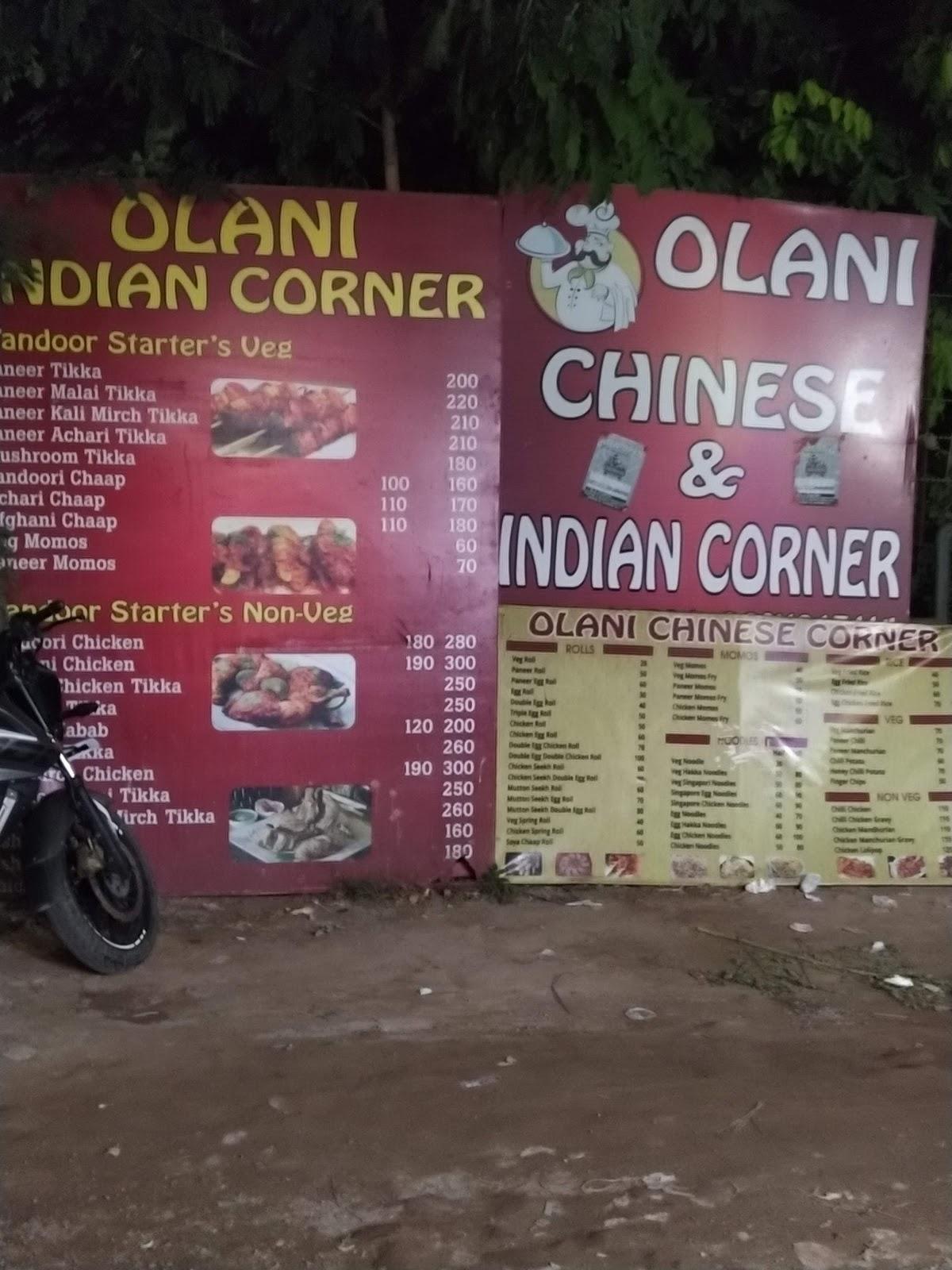 Olani Chinese & Indian corner, Gurugram - Restaurant reviews